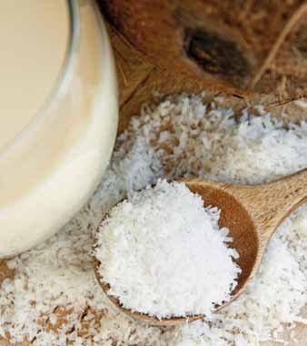 160607_kauri-food-ingredients - Sunnz Food